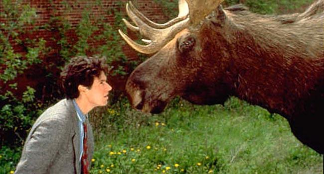 Doctor en Alaska: posiblemente una de las mejores series de la historia ...